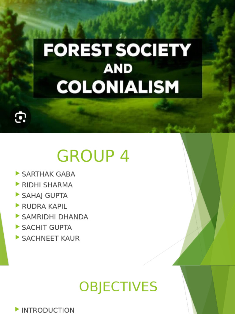 Group 4 Interdisciplinary Project | PDF | Habitat Destruction | Logging