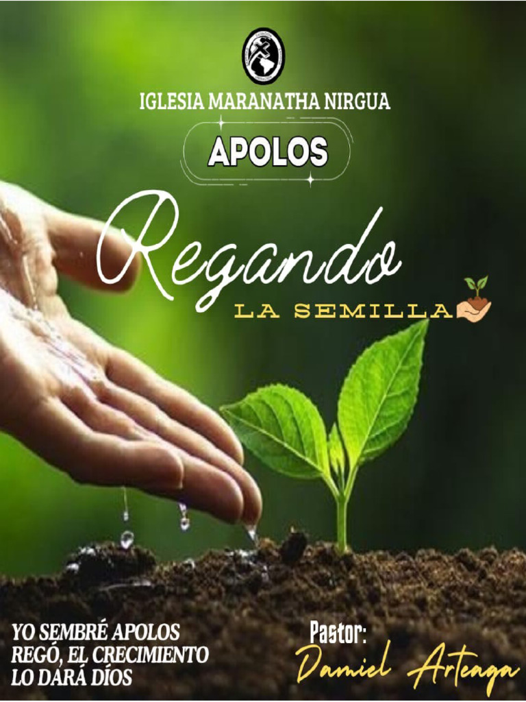 Programa Apolo 030745 | PDF