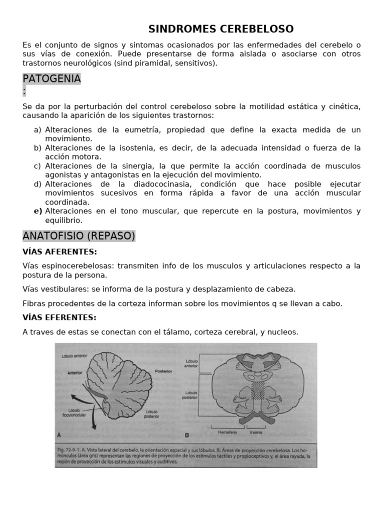 Síndromes Cerebelosos: Signos y Síntomas | PDF | Cerebelo | Cerebro