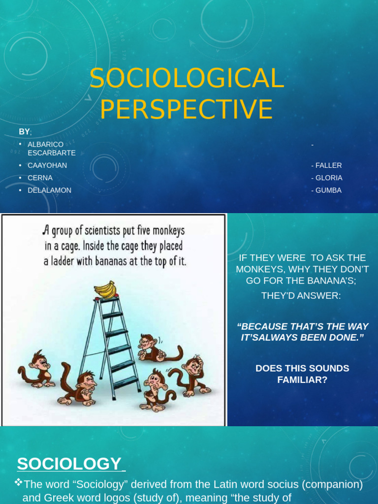 Sociological Perspective | PDF | Sociology | Society