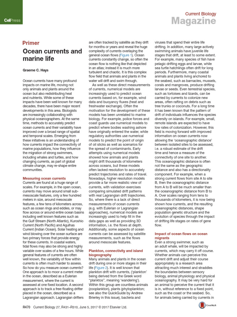 2 - Ocean Currents and Marine Life | PDF | Oceans | Plankton