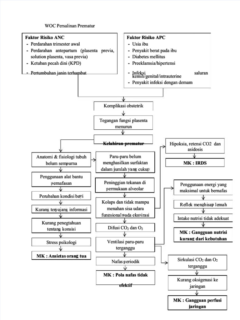 PDF Woc Persalinan Prematur - Compress | PDF