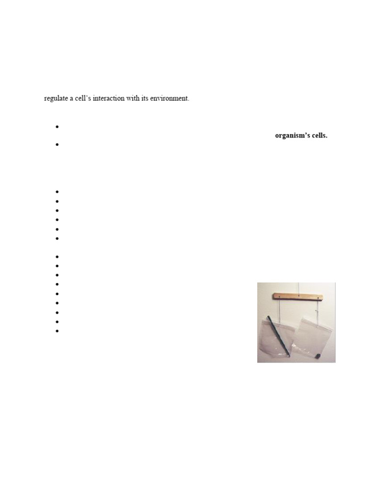 Cell Membrane Permeability Lab Guide | PDF | Cell Membrane | Cell Biology