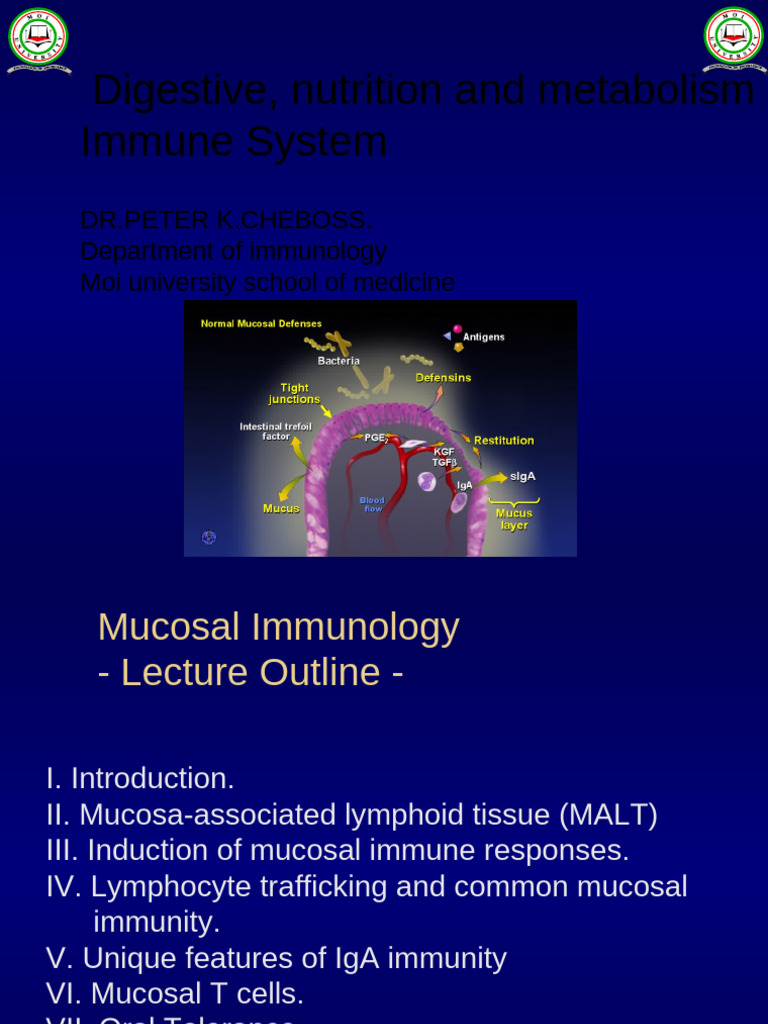Mucosal Immunity | PDF | Immune Tolerance | T Helper Cell