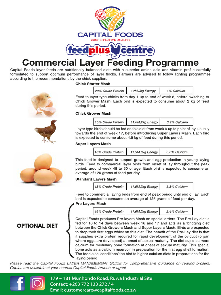 Layer Feeding Programme 2022 Website | PDF
