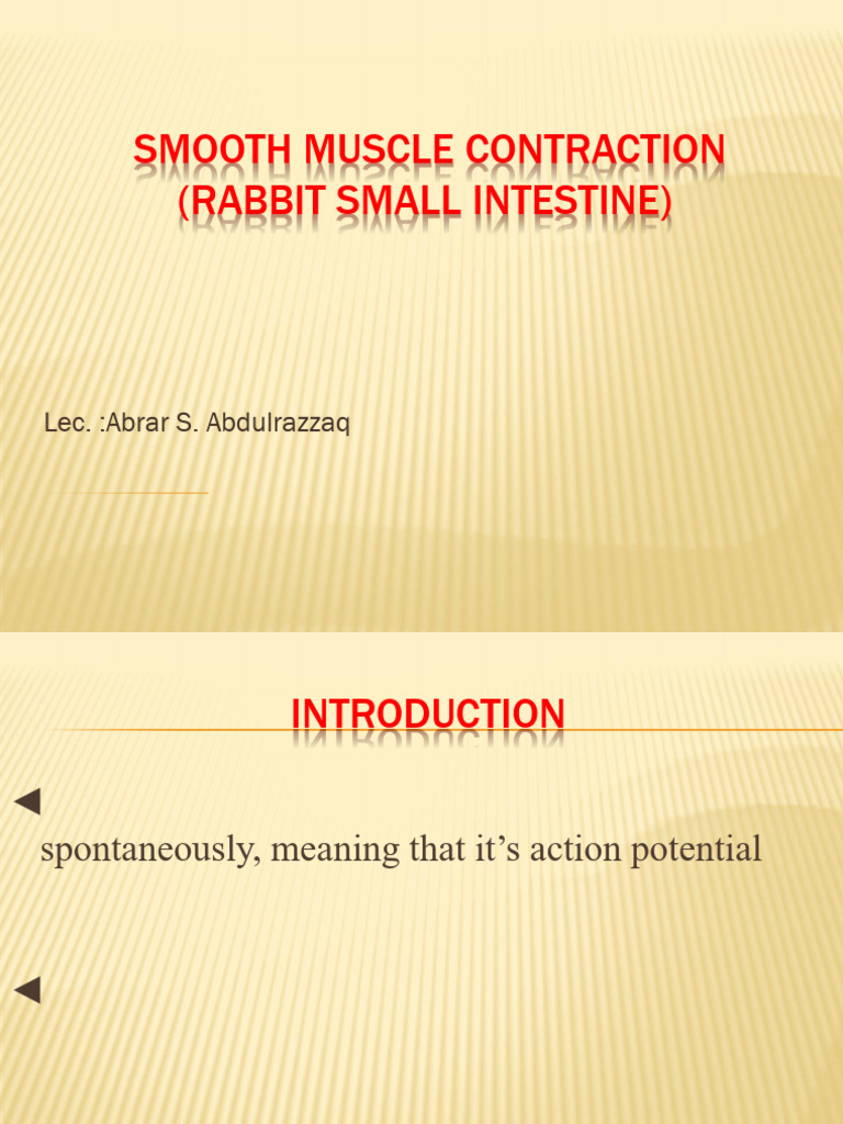 Smooth Muscle Contraction | PDF | Muscle Contraction | Muscle