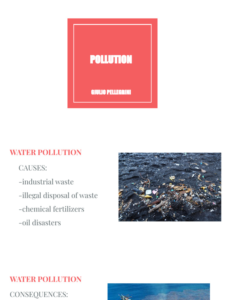 pollution | PDF