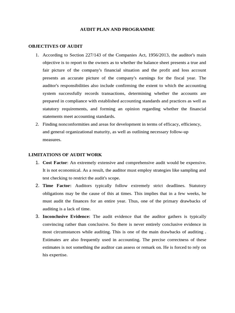 AUDIT PLAN AND PROGRAMME | PDF | Audit | Business