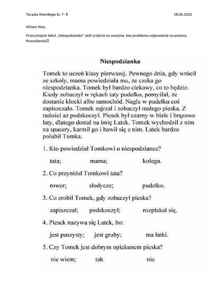 Terapia Warnkego 7 8 18 06 1 PDF