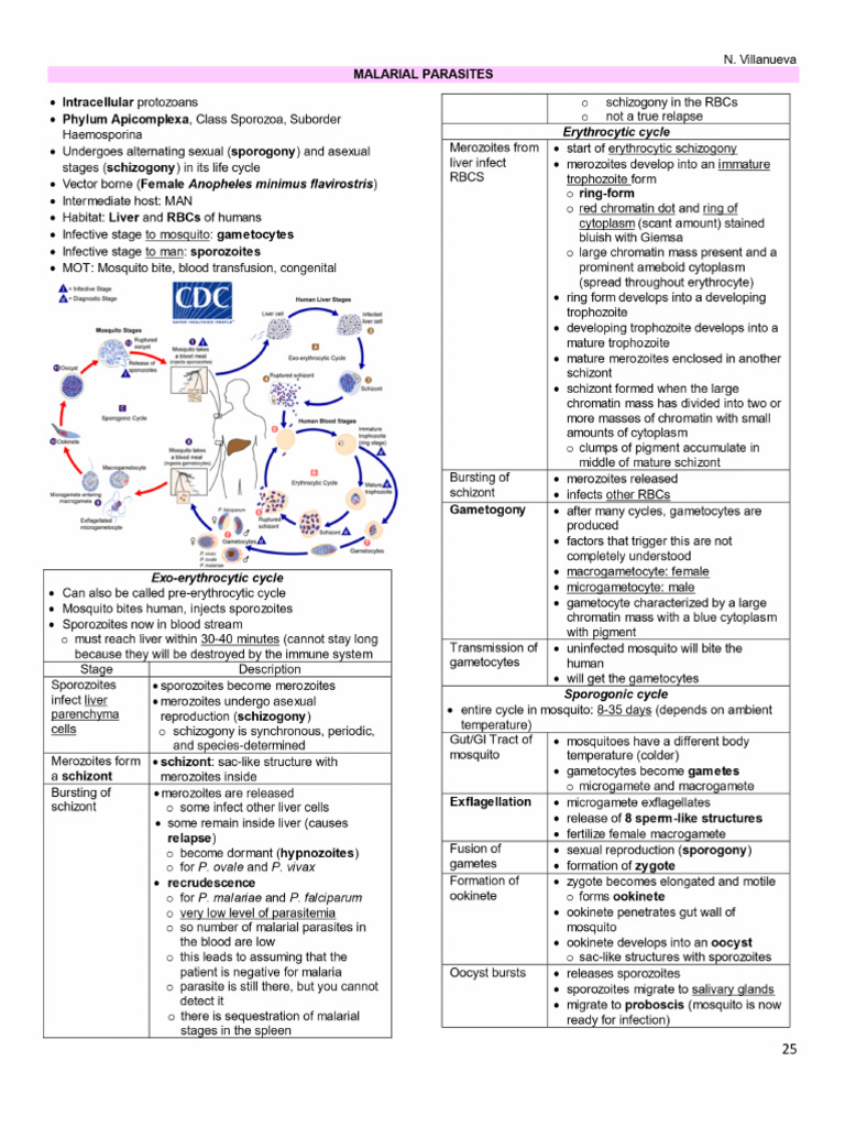 Malaria 1 | PDF