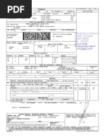 PEDIMENTO Lleno | PDF