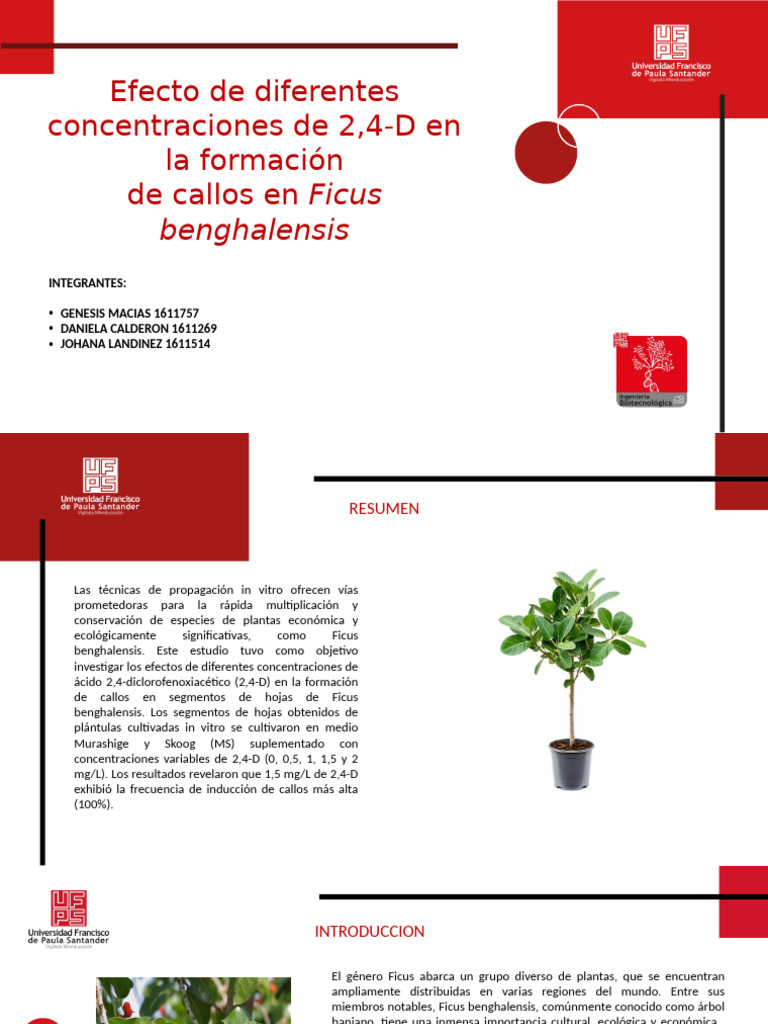 Expo | PDF