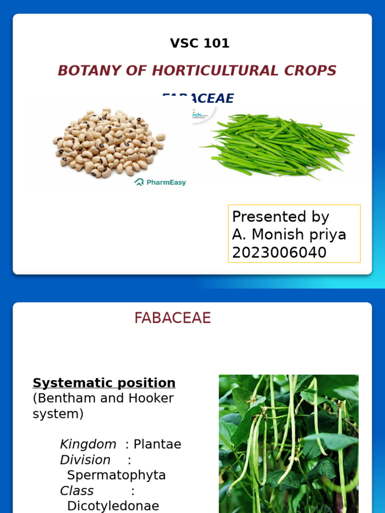 Botany of Horticultural Crops: Fabaceae | PDF | Petal | Horticulture
