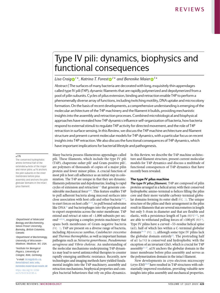 Type IV Pilli Paper | PDF | Bacteria | Protein Domain