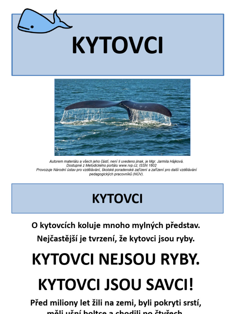 KYTOVCI | PDF