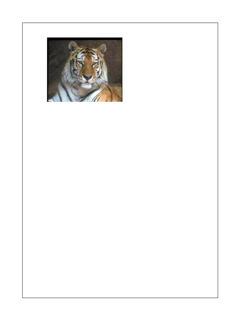 Tiger Pro | PDF | Comma Separated Values | Programming Paradigms