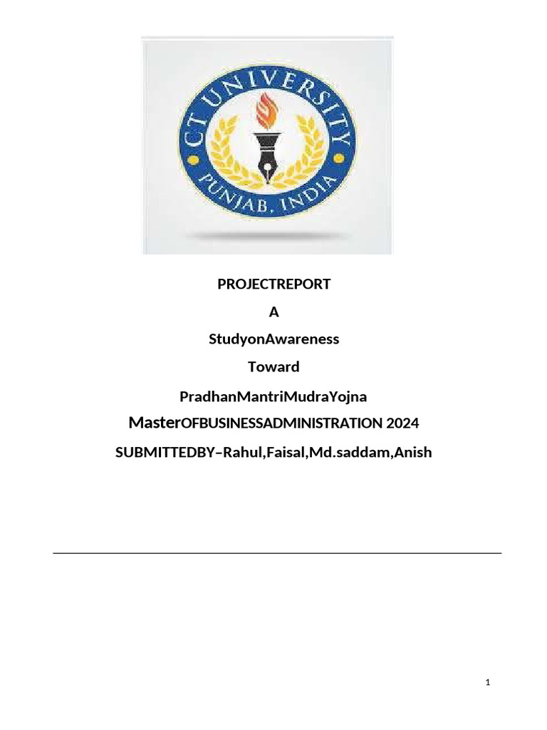 project report | PDF | Microfinance | Sampling (Statistics)