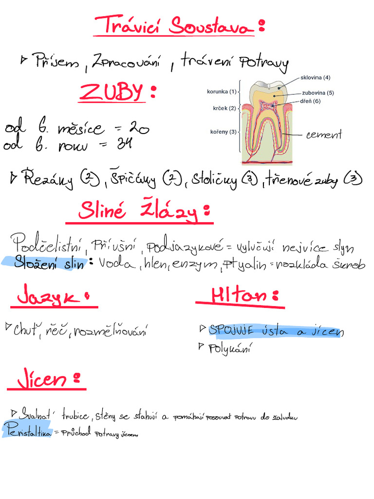 Přírodopis | PDF