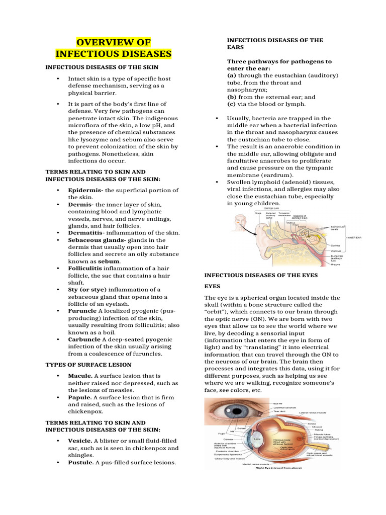 Word Version Kaso 1 To 4 Lang Kasi Tinamad Na Ko Itype Yung Huli Na ...