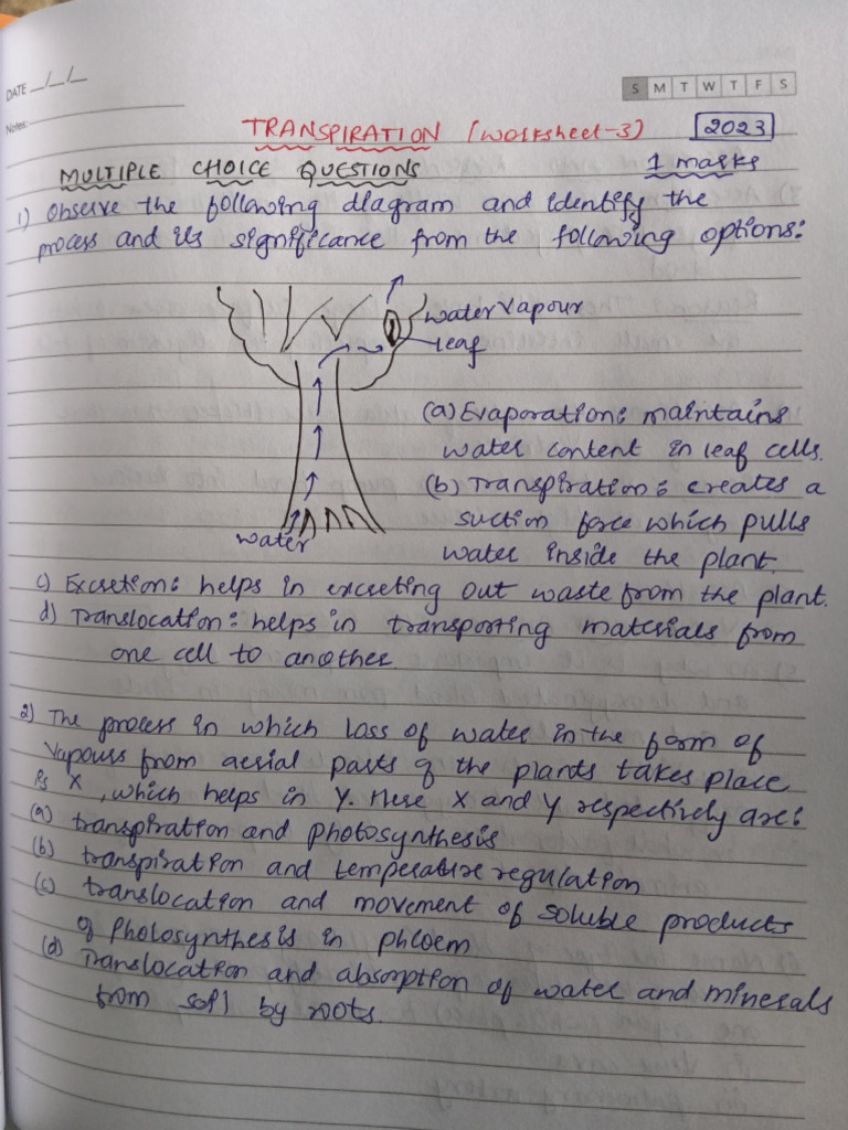 Life Processes - Transpiration Worksheet - 3 | PDF