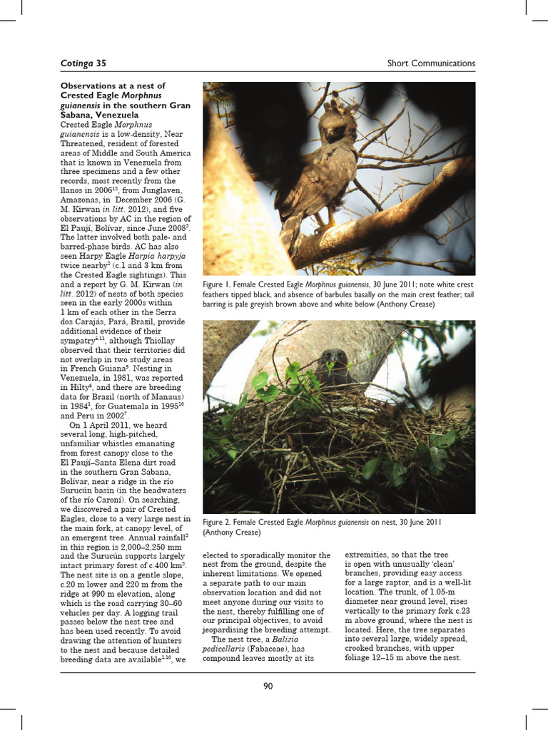 Crease & Tepedino | PDF | Birds | Ornithology