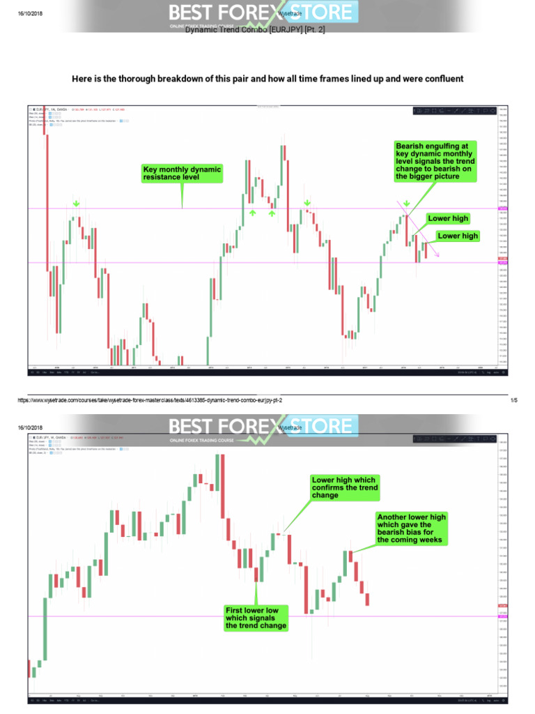 Dynamic Trend Combo (EURJPY) (Pt. 2) | PDF