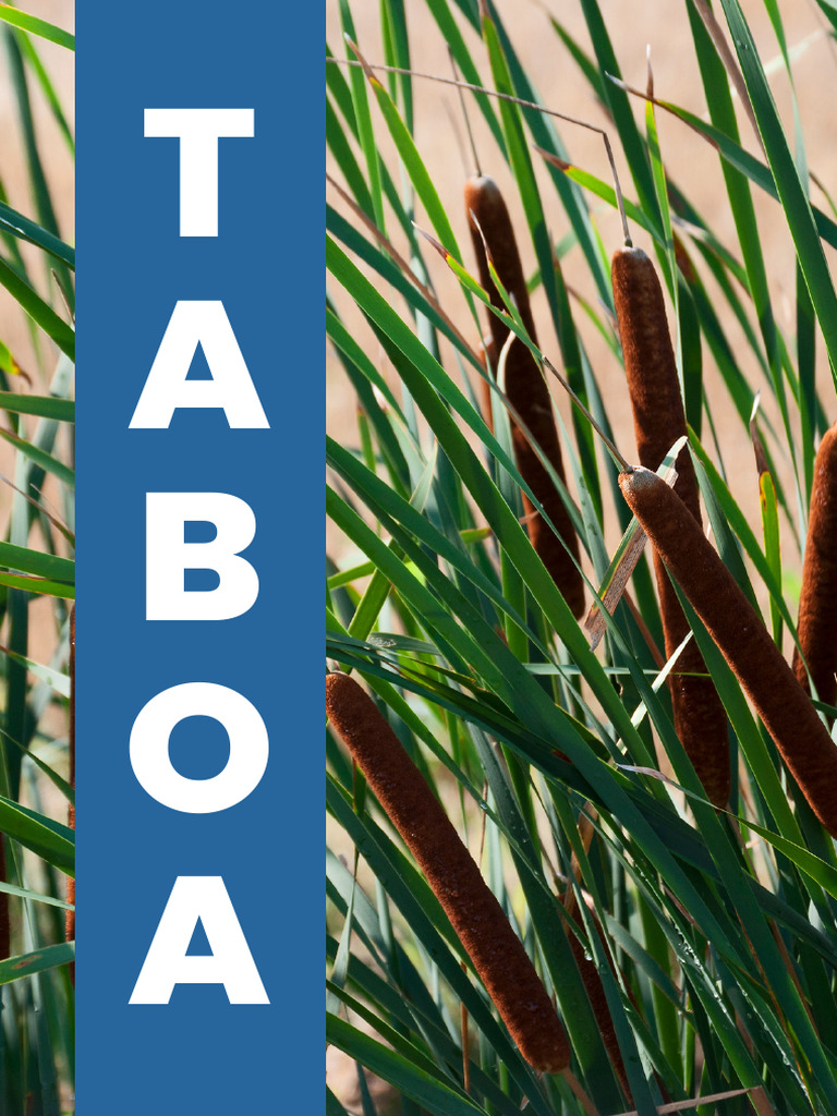 TABOA | PDF | Águas residuais | Ambiente natural