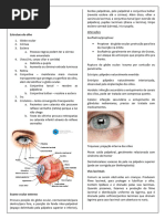 SIGLARIO TAB. ABREVIACOES 2021 Oftalmo | PDF | Olho humano | Glaucoma