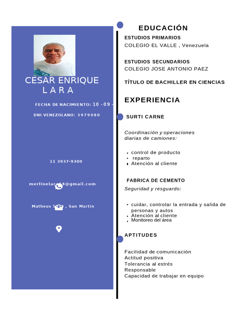 CV Cesar N | PDF