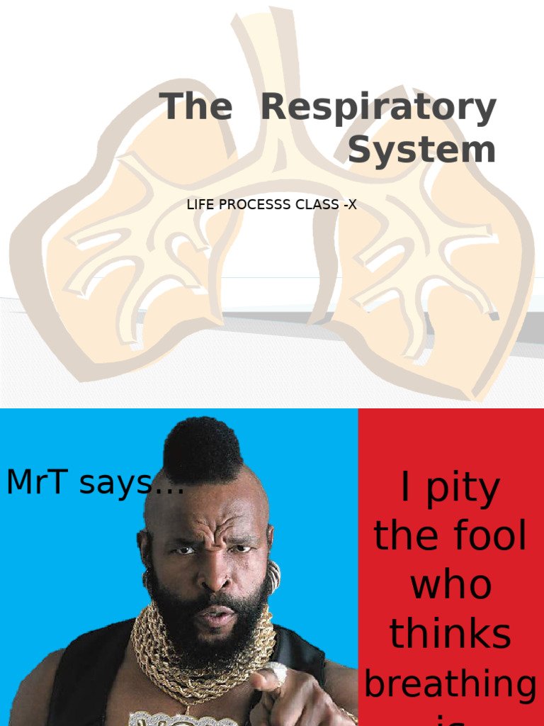 Life Process Respiration | PDF | Respiratory Tract | Cellular Respiration