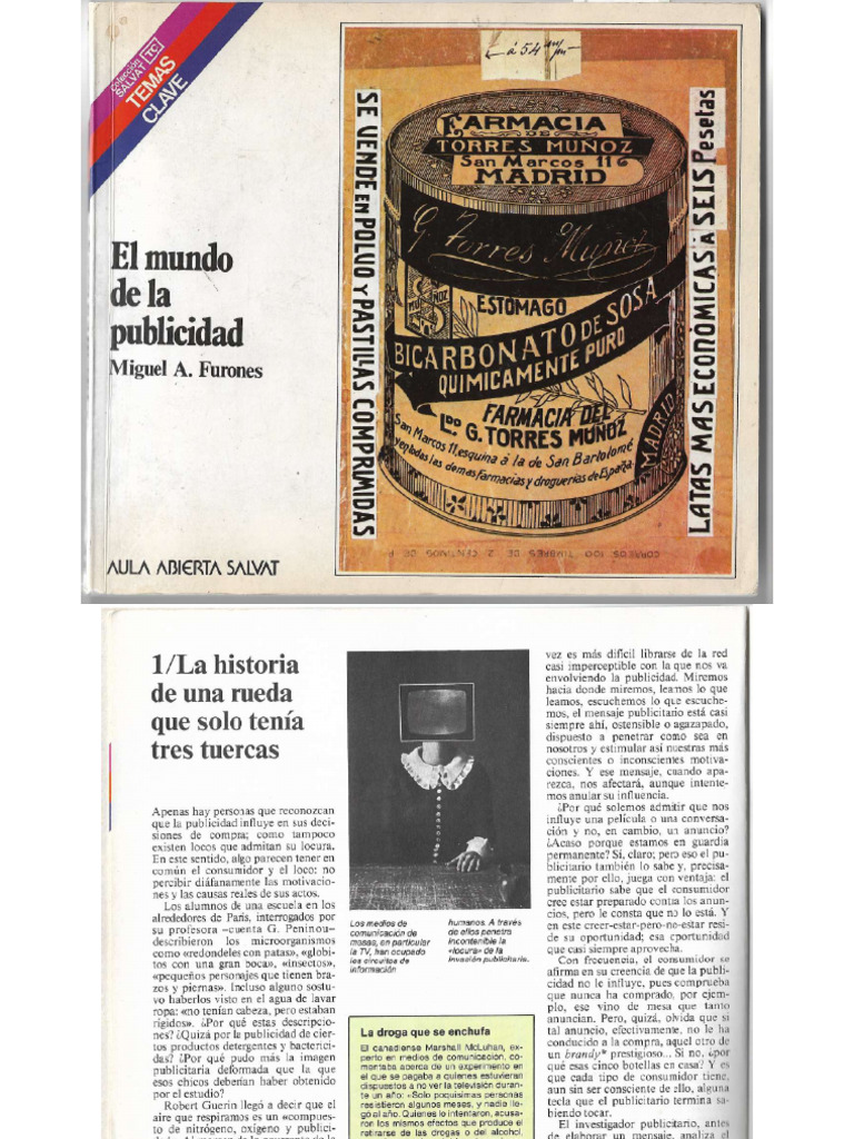 El Mundo de La Publicidad - Furones Miguel | PDF