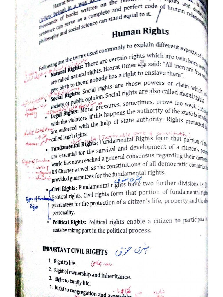 Human Rights | PDF