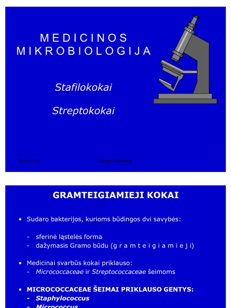 Stafilokokai Streptokokai | PDF