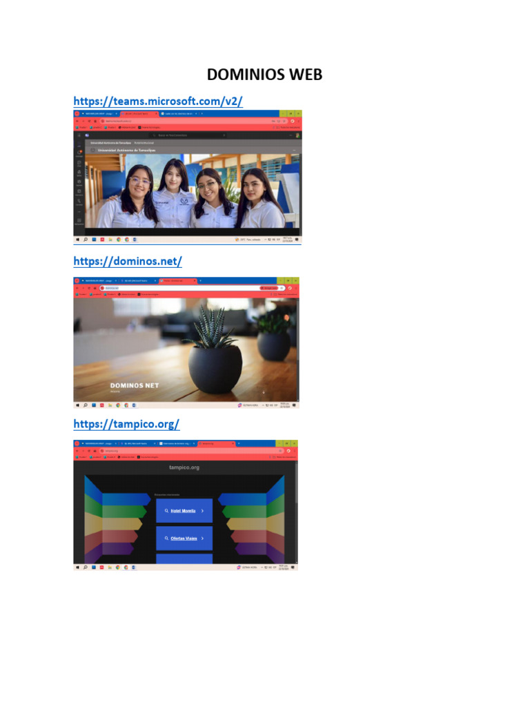 Dominios Web | PDF