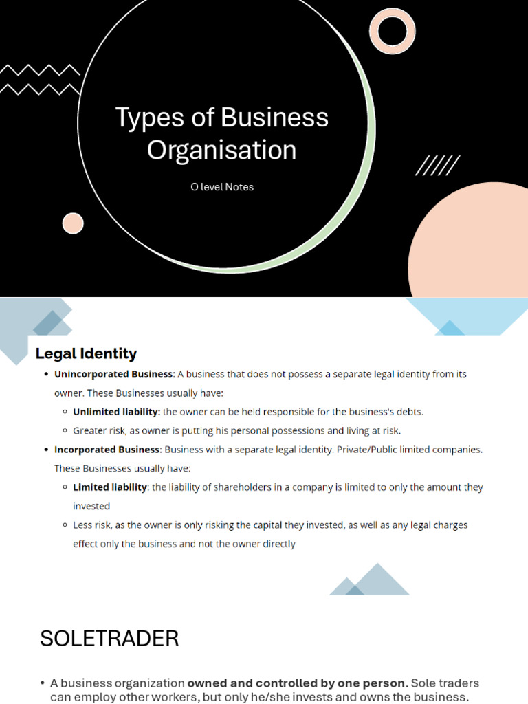 Types of Business Organisations Explained | PDF | Partnership | Franchising