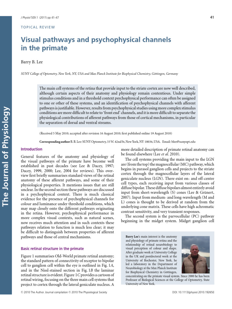 The Journal of Physiology - 2010 - Lee - Visual Pathways and ...