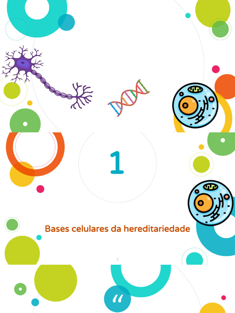 Bases Biológicas das Células | PDF | Meiose | RNA