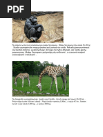 Opis Zwierzęcia Wklejka | PDF