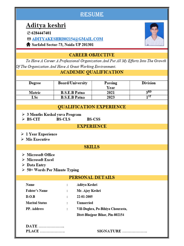 ADITYA CV 2 | PDF