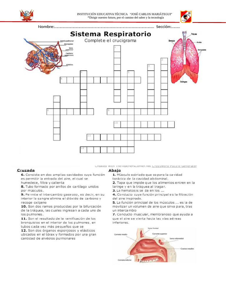 Practi-S. RESPIRATORIO | PDF