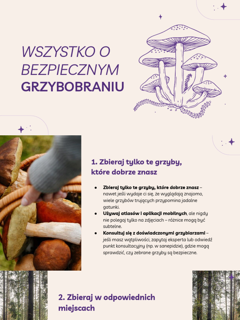 Bezpieczne Grzybobranie | PDF