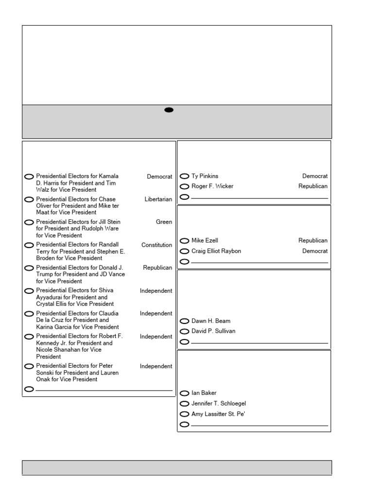 Lamar County 2024 Election Ballot | PDF | Presidents Of The United ...