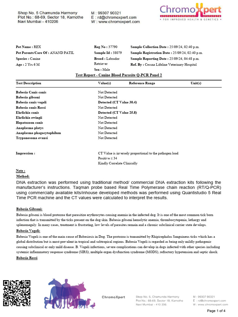rex_test | PDF | Epidemiology | Immunology