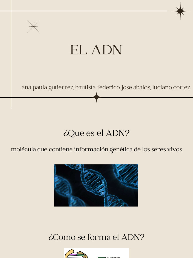 el adn.pdf | PDF