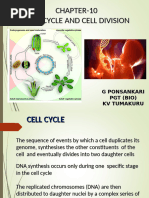 Biology Chapter 10 Cell Cycle and Cell Division Class 11 Notes PDF ...