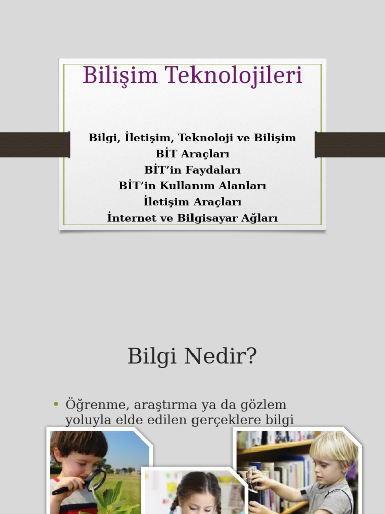 Bilisim Teknolojileri | PDF