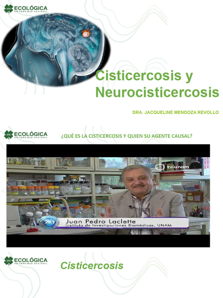CT15 Cisticercosis y Neurocisticercosis | PDF | Medicina CLINICA ...