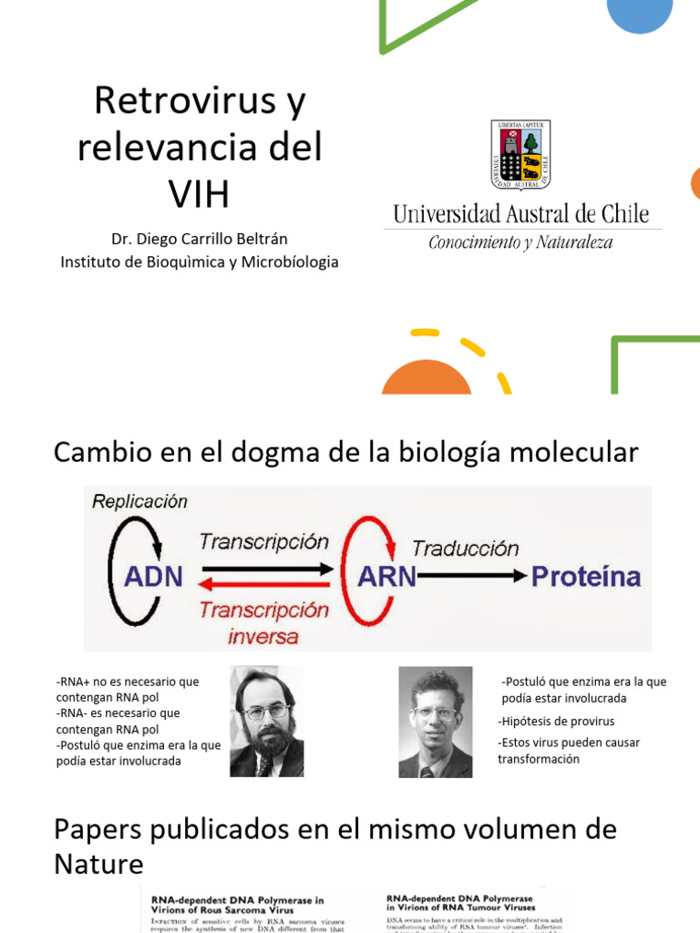 Clase 4 Retrovirus y VIH - 2024-Semestre2 | PDF | VIH | La ...