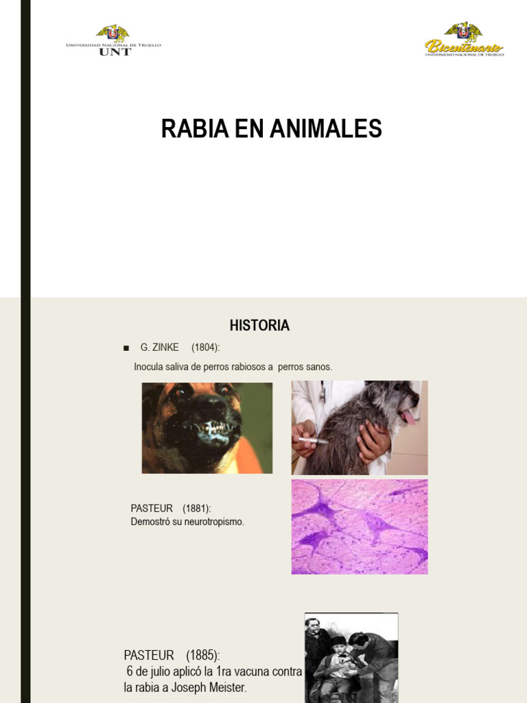 Virus de la Rabia: Historia y Características | PDF | Rabia | VIH