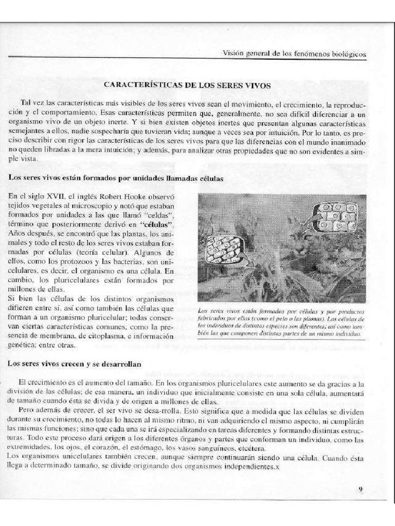 Caracteristicas de Los Seres Vivos - Biología e Introduccion A La ...
